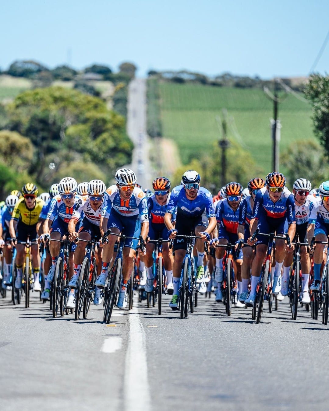 TOP 5 des plus beaux maillots du WorldTour 2024 - velopack